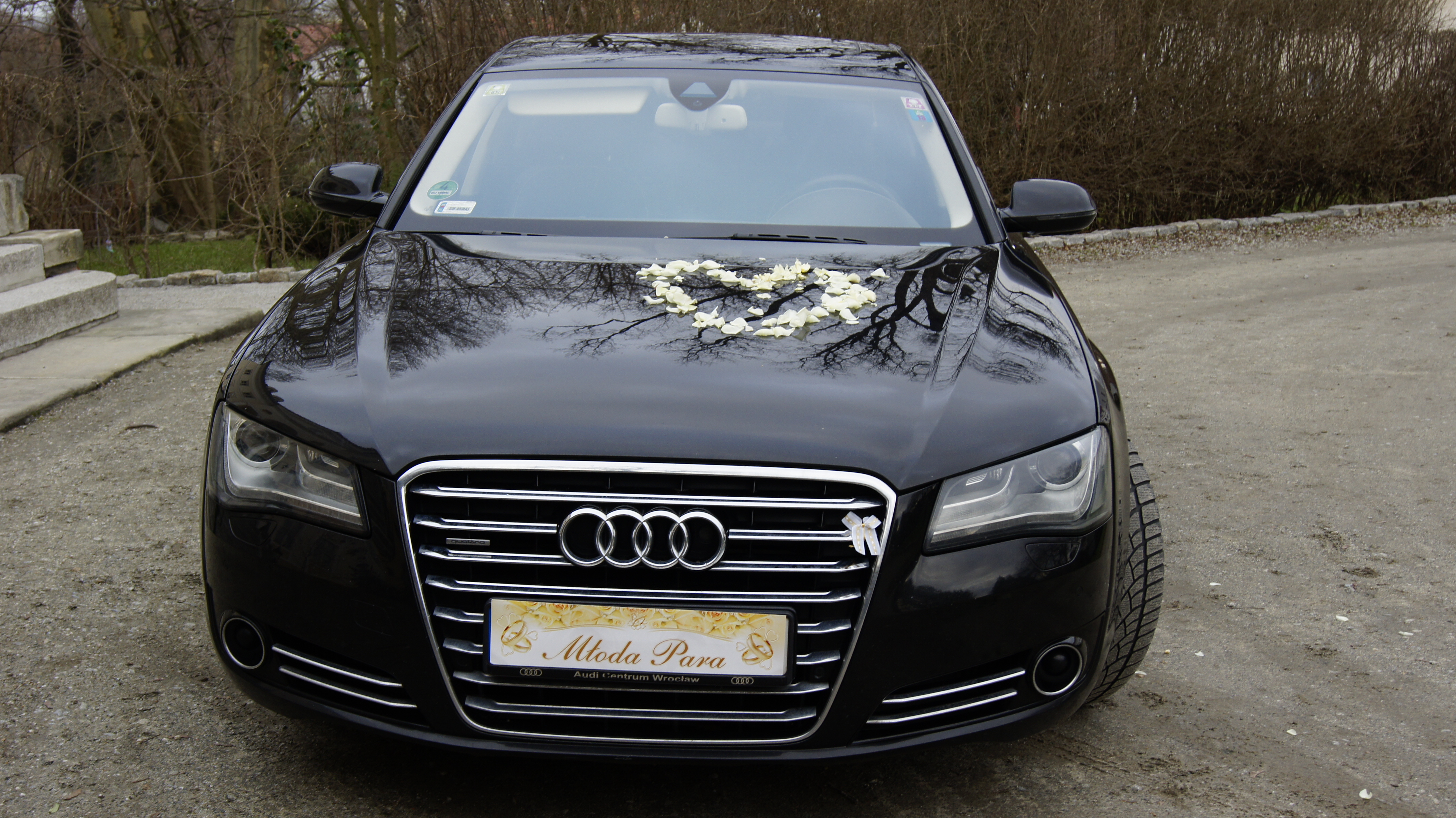 AUDI A8 WESELA - Auto do ślubu Wrocław